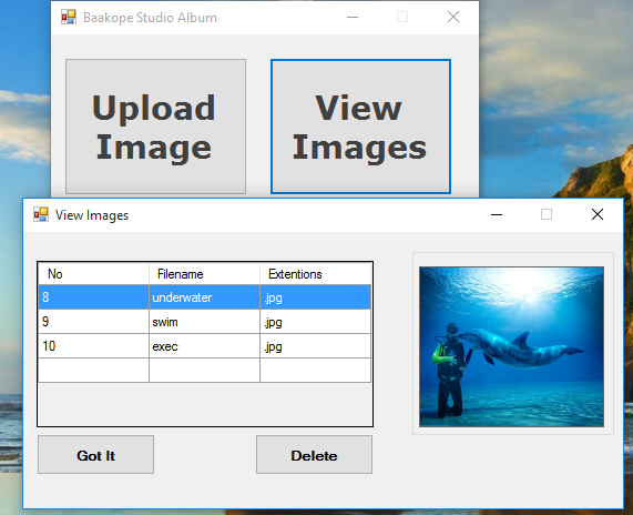 Simple Gallery Studio in C# with Source Code | SourceCodester
